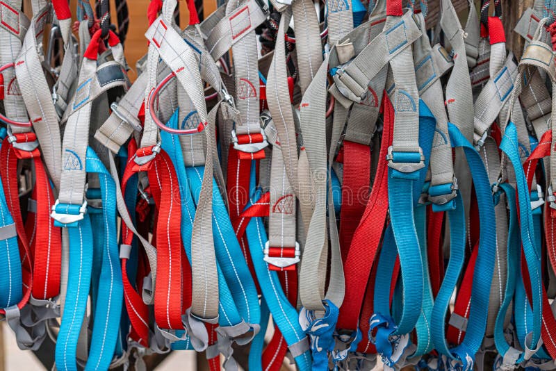 Array of Climbing Harnesses in Outdoor Gear Setup Stock Photo - Image ...