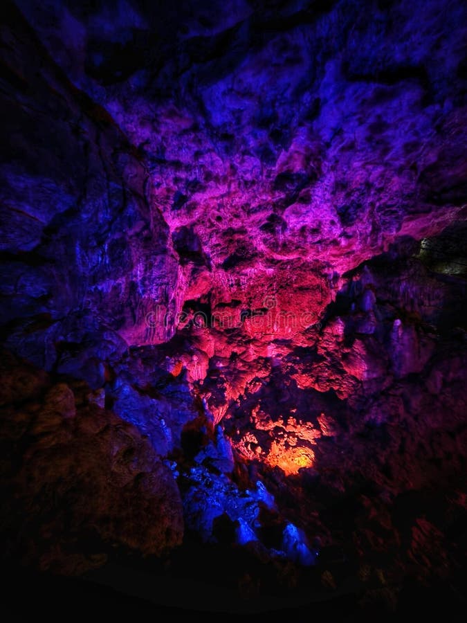 Plaent Stock Photos - Free & Royalty-Free Stock Photos from Dreamstime