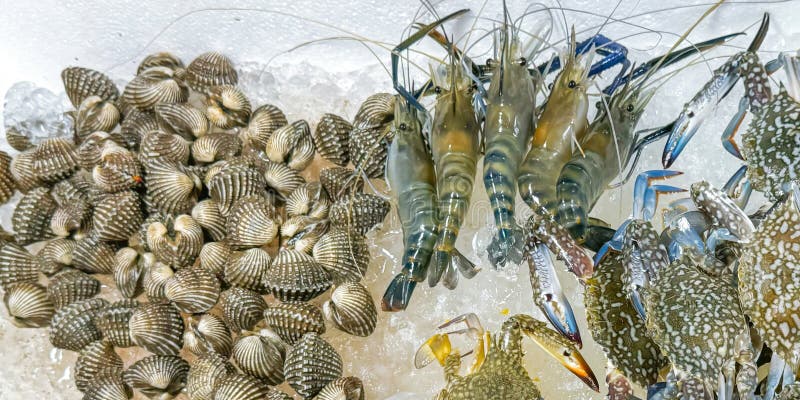 Array of Fresh Seafood, with Glistening Live Crabs, Prawns and a Pile ...