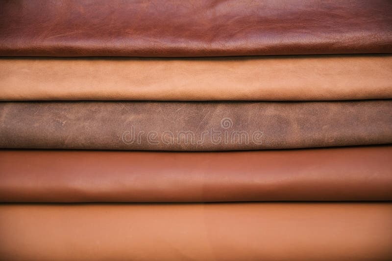 Array of Leather Fabric Samples in Different Shades Neatly Placed on a ...