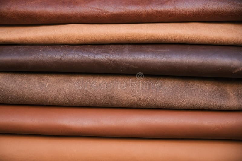 Array of Leather Fabric Samples in Different Shades Neatly Placed on a ...