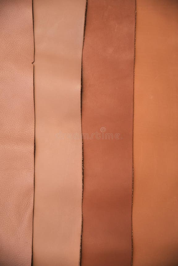 Array of Leather Fabric Samples in Different Shades Neatly Placed on a ...
