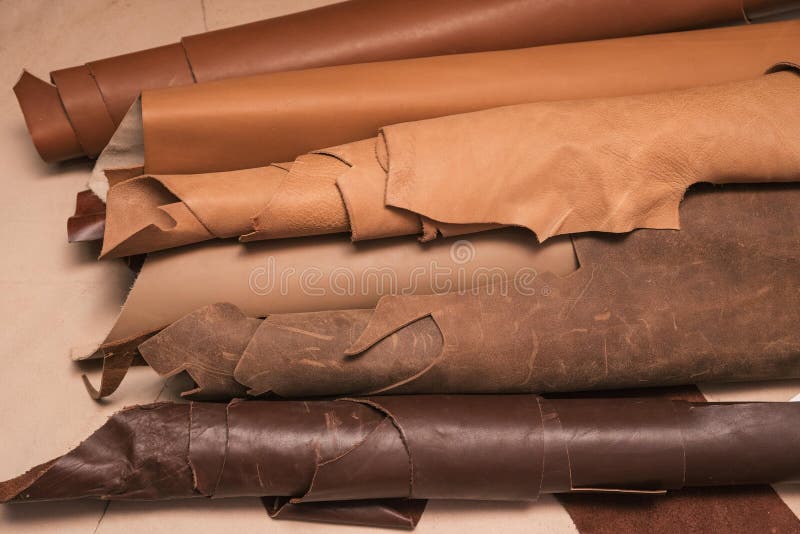 Array of Leather Fabric Samples in Different Shades Neatly Placed on a ...