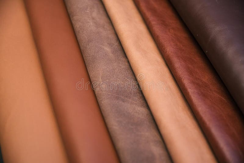 Array of Leather Fabric Samples in Different Shades Neatly Placed on a ...