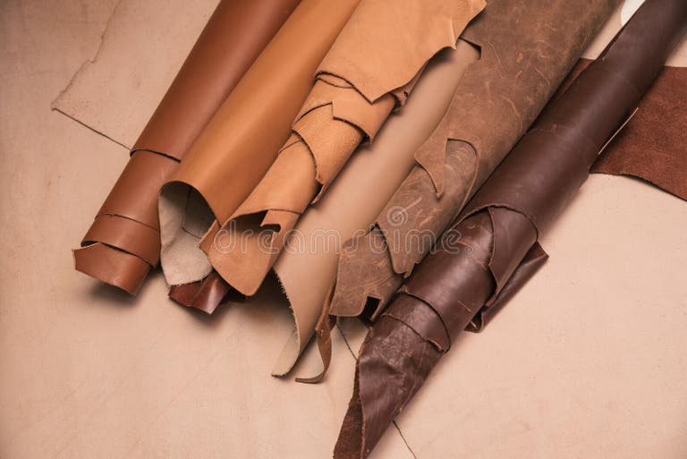 Array of Leather Fabric Samples in Different Shades Neatly Placed on a ...