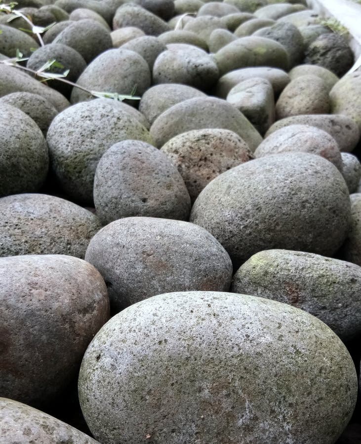 Array of Pedestrian Stone. the Pebble Round Shaped Stock Photo Stock ...