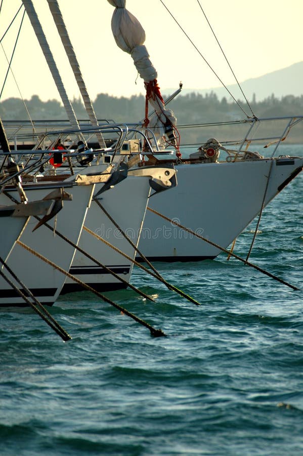 An array of prows stock image. Image of sunset, harbour - 559699