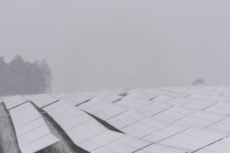 Array of Solar Modules in Solar Park on Field Completely Covered with ...