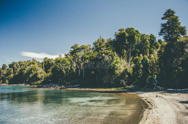 Arrayan trees stock image. Image of argentina, glacier - 68124917