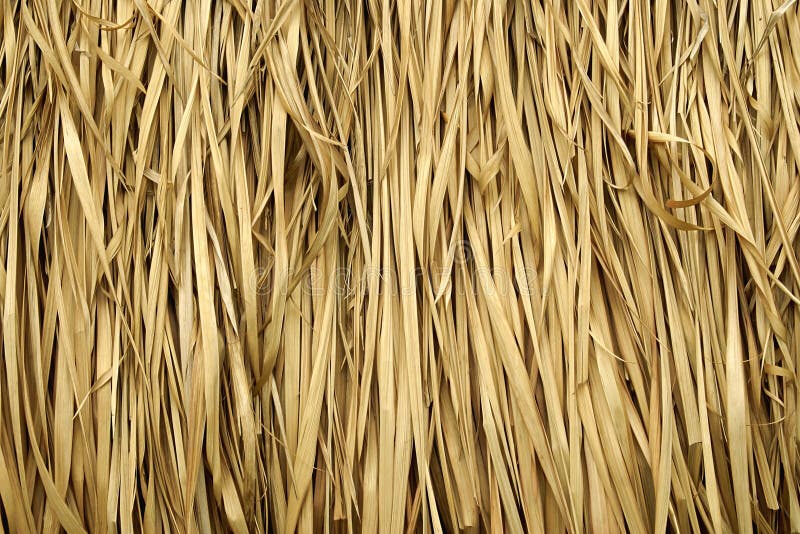 Texture de toit de chaume photo stock. Image du brut, conception - 9561206