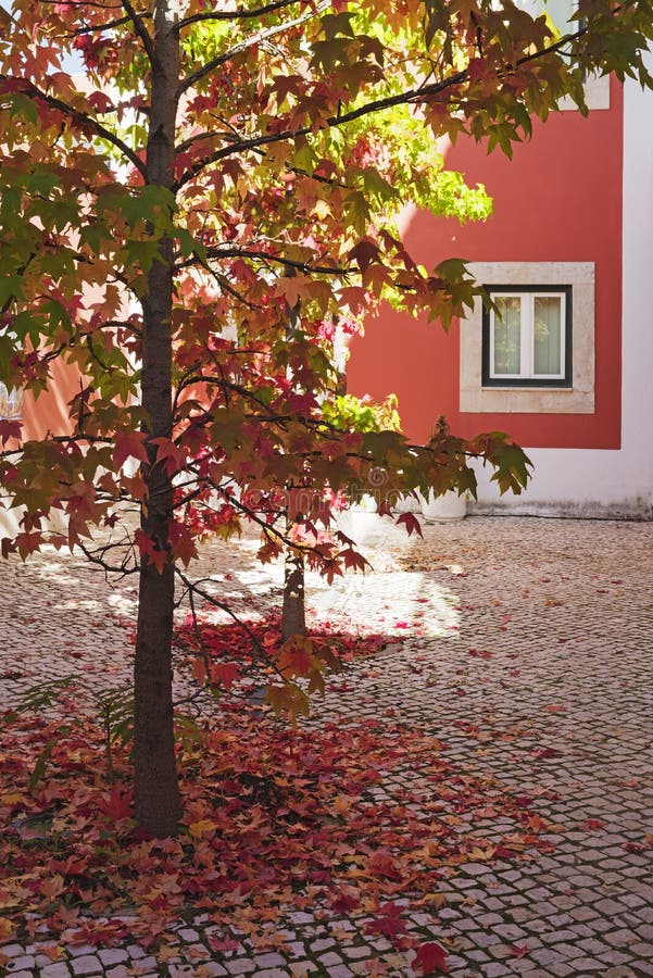 The arrival of autumn stock photo. Image of autumn, europe - 100610780