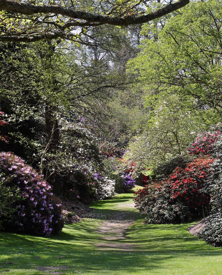 Arrival of Spring in an English Landscape Garden Stock Photo - Image of ...