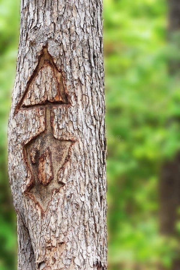 Arrow carved in tree stock image. Image of voyage, brown - 69161527