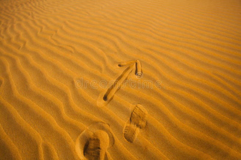 Arrow in the Desert Sand Pointing Forward Stock Photo - Image of help ...