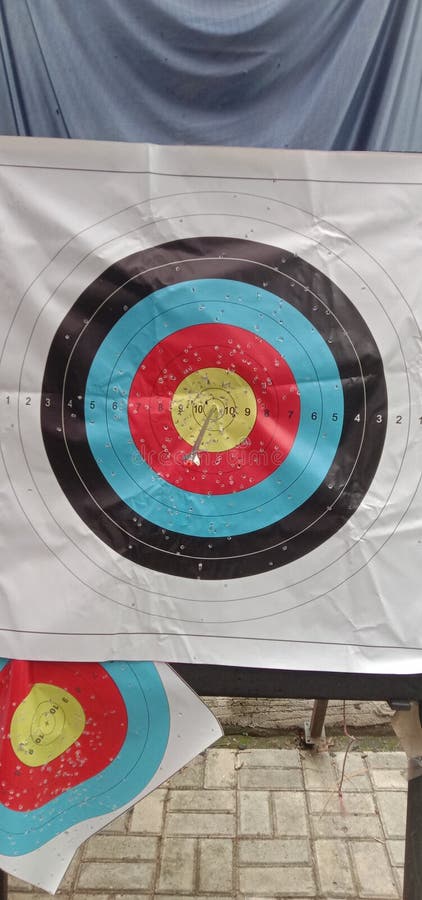 An Arrow that Hits the Target Perfect Stock Image - Image of hits ...