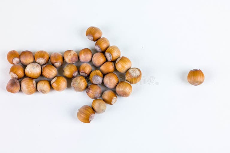 Arrow with nuts stock photo. Image of arrow, shot, symbol - 44562214