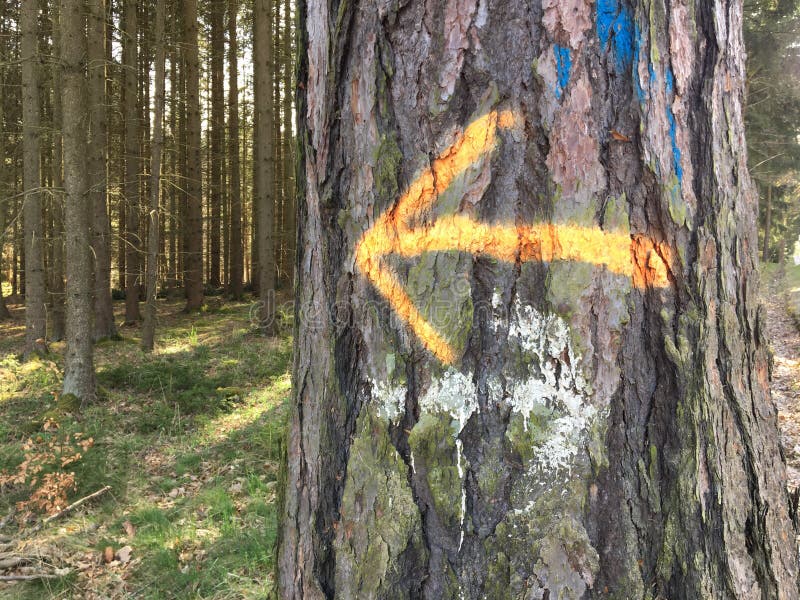 Arrow, Pointer Painted on a Tree. Stock Photo - Image of painted ...