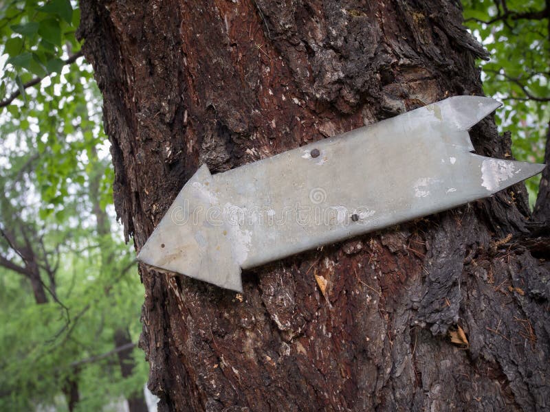 Arrow Pointer To a Tree in the Forest Stock Photo - Image of arrow ...