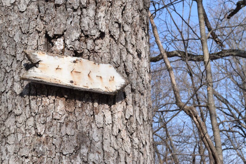 Arrow pointing right stock image. Image of bark, nailed - 65943167