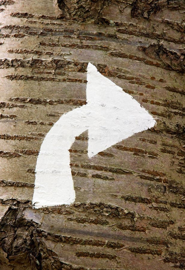 Arrow Pointing Right on a Woodland Trail Stock Image - Image of route ...