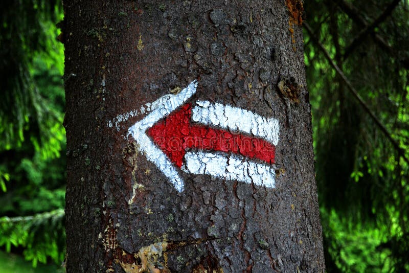 Arrow Pointing To the Left Drawn on a Tree Stock Image - Image of ...