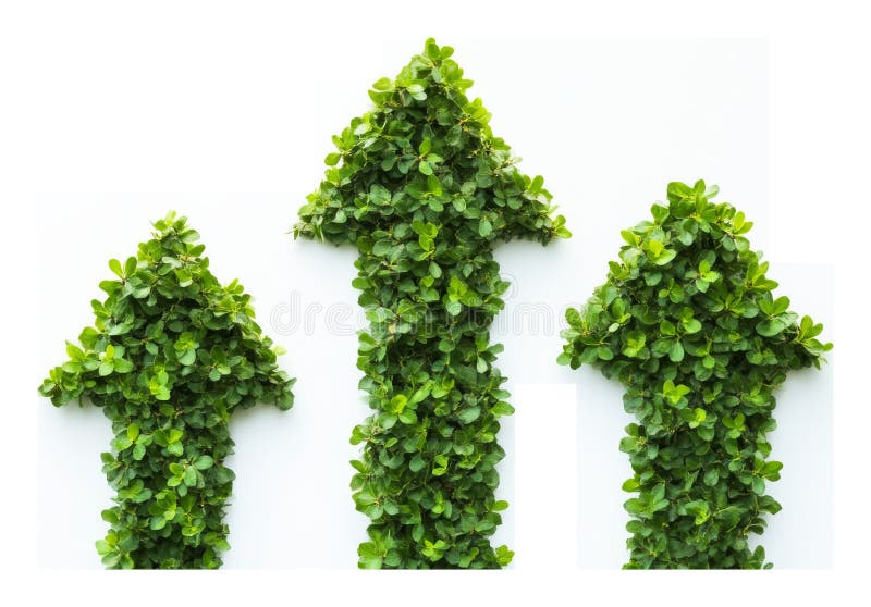 Arrow-shaped Topiary Plants Symbolizing Growth and Progress Stock Photo ...