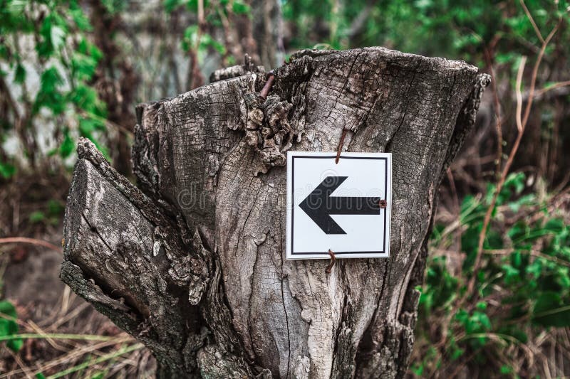 Arrow Sign Attached To a Tree Trunk Stock Image - Image of scenery ...