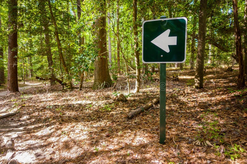 Arrow sign in a forest stock photo. Image of exterior - 62039946