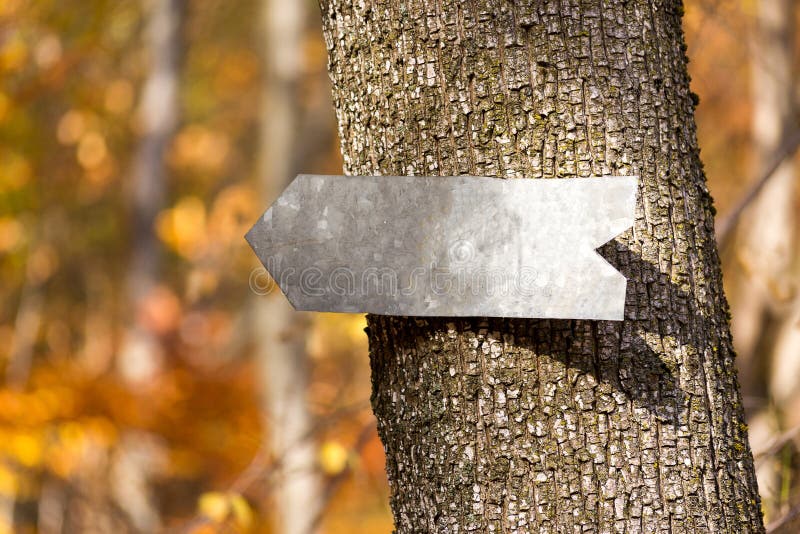 Arrow sign on a tree stock photo. Image of tree, information - 27742692