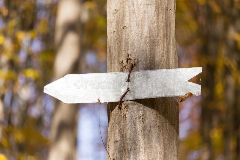 Arrow sign on a tree stock photo. Image of tree, information - 27742692