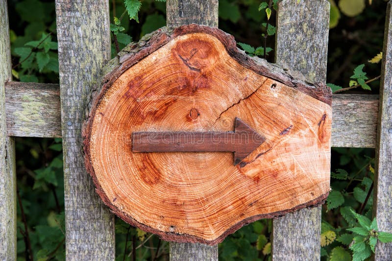 Arrow on tree trunk stock image. Image of pointing, bark - 34192817