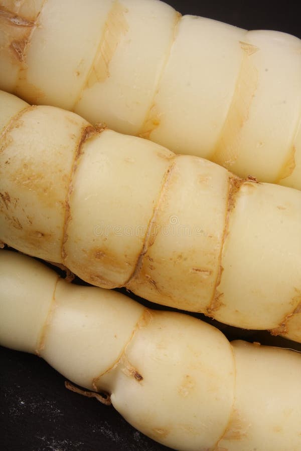 Arrowroot Closeup Photograph. Stock Image - Image of asia, material ...