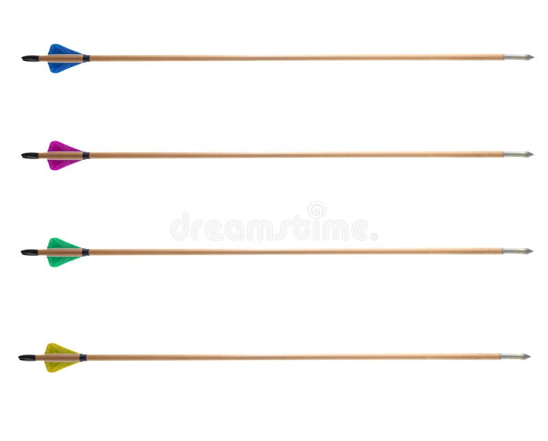 Bee colony stock photo. Image of farm, apiculture, queen - 5542822