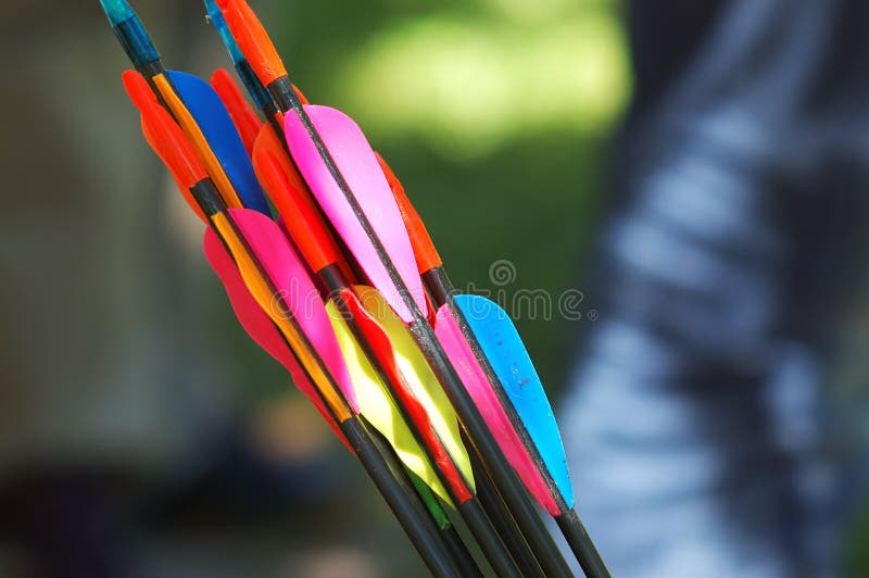 Arrows for archery stock photo. Image of archery, life - 4332468