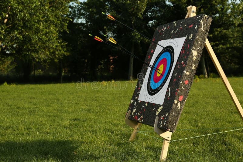 Arrows in Archery Target on Green Grass Stock Image - Image of grass ...