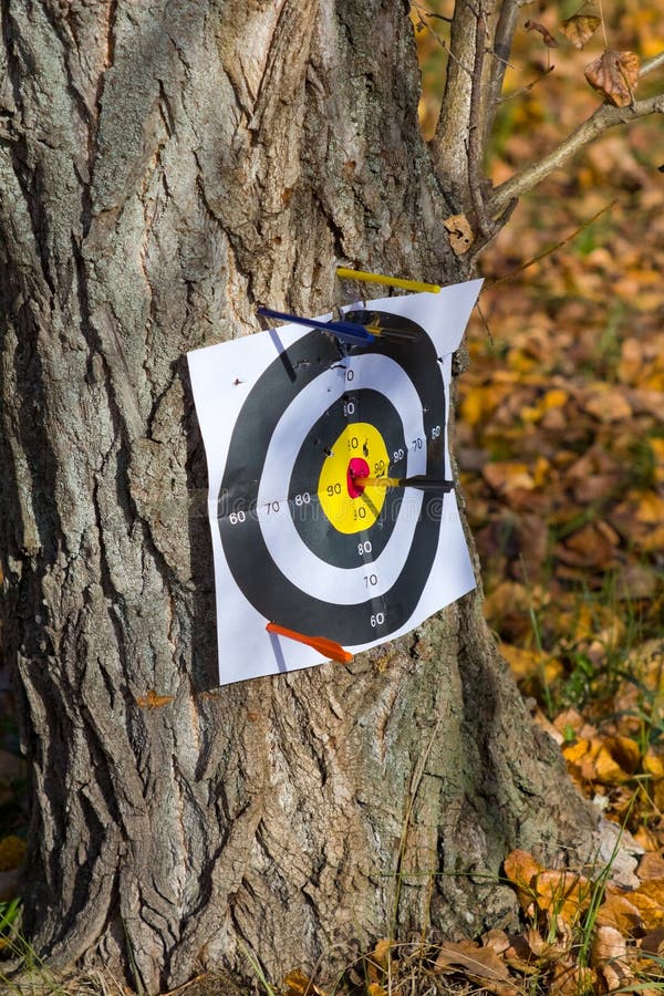 Arrows hit a target stock photo. Image of outdoor, sport - 27507160