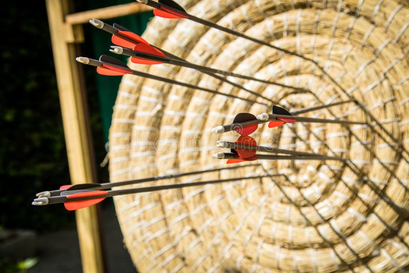 Arrows in Straw Target Disc during Leisure Time Hobby Archery at ...