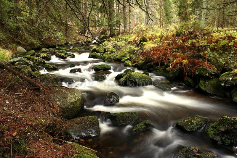 Brook imagen de archivo. Imagen de centro, pico, hermoso - 4427083