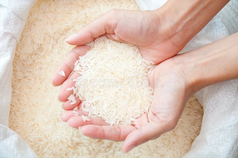 Arroz crudo en un tarro foto de archivo. Imagen de salud - 105648812