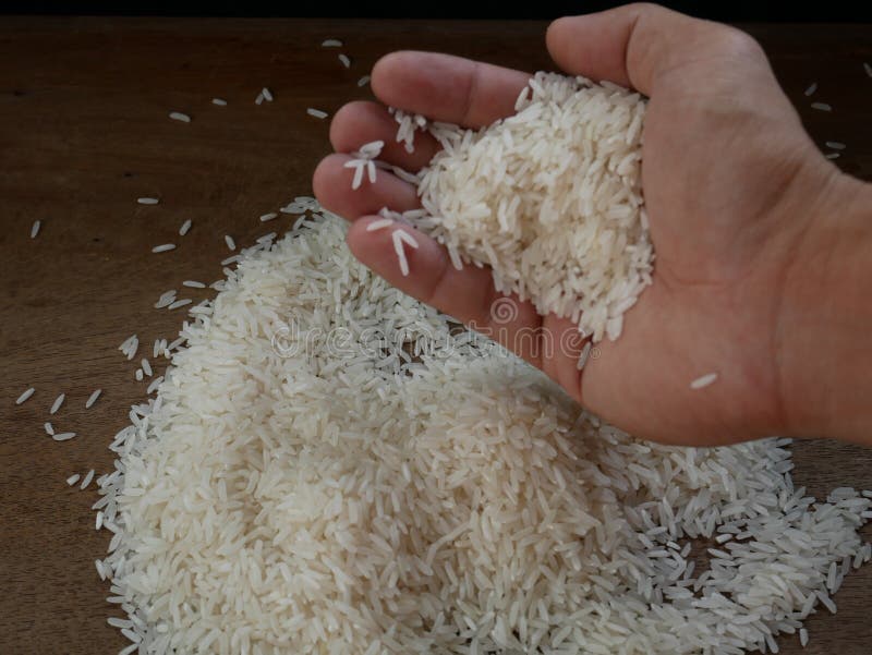 Arroz de grano largo E foto de archivo. Imagen de blanco - 144878486