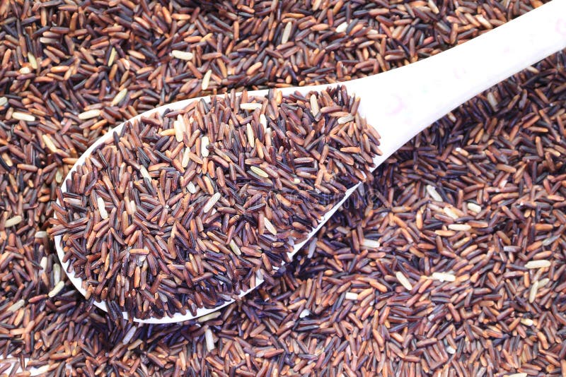 Trigo con el arroz crudo imagen de archivo. Imagen de arroz - 46076715