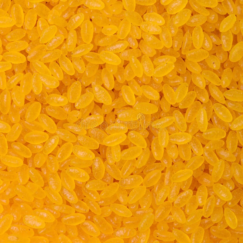 Arroz Dorado En El Campo. El Arroz Es La Semilla De La Especie De ...