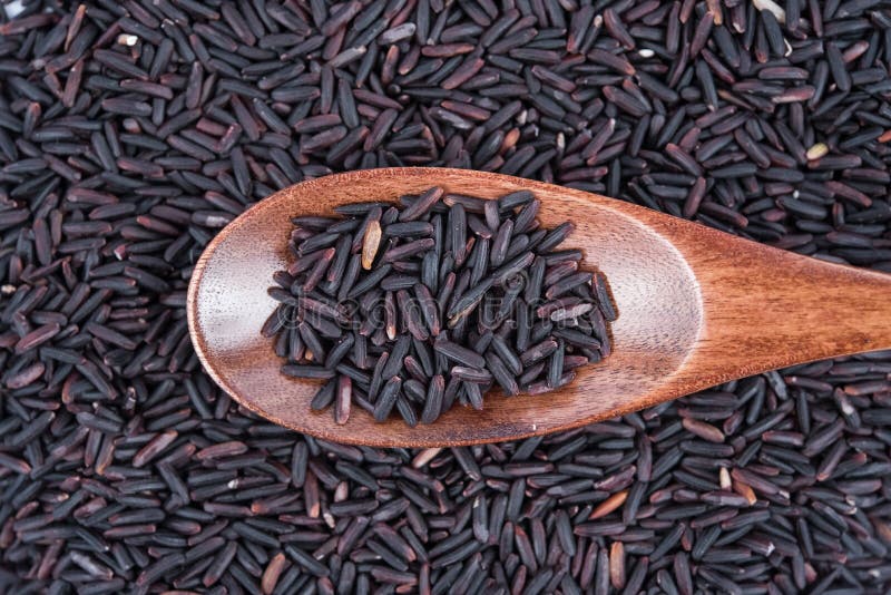 Arroz roxo de Riceberry imagem de stock. Imagem de alimento - 64752809