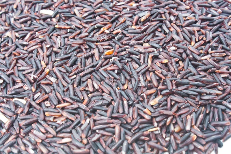 Arroz roxo no fundo branco foto de stock. Imagem de arroz - 46293958
