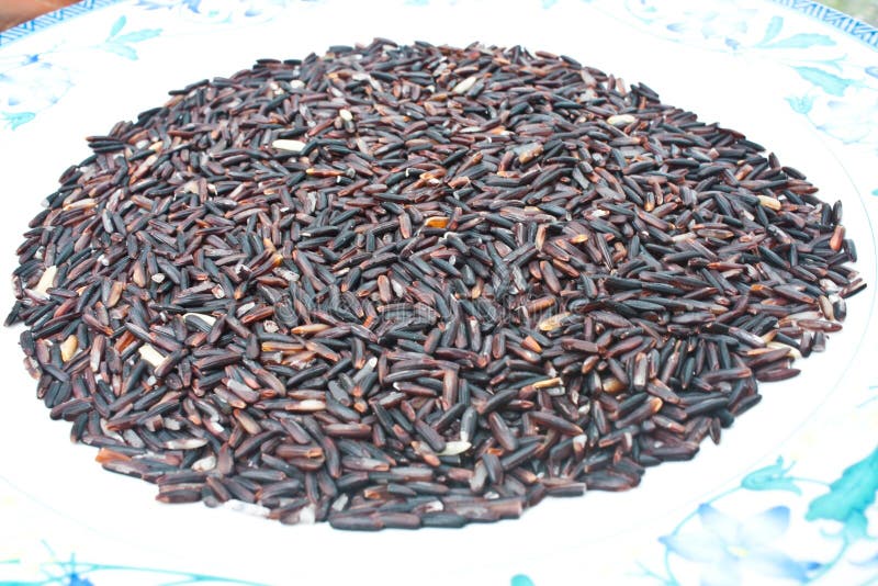 Arroz roxo no fundo branco foto de stock. Imagem de detalhe - 46293964