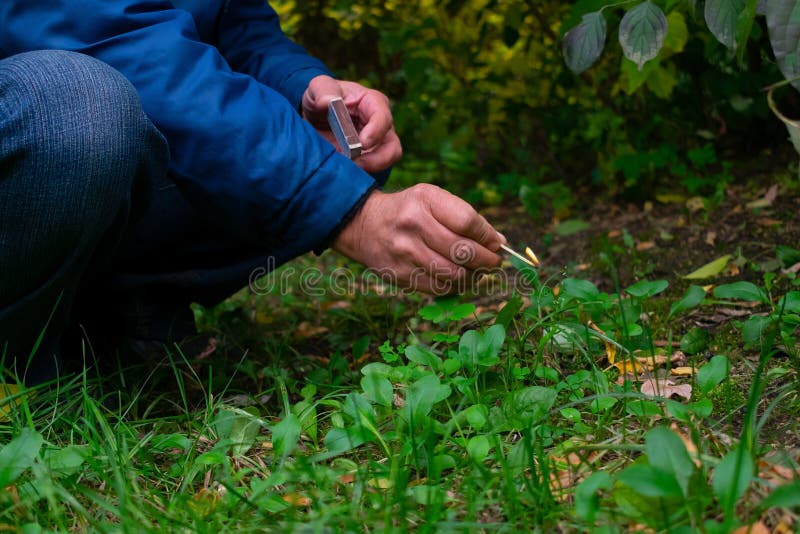 Arsonist is Setting Fire in the Forest Stock Image - Image of setting ...