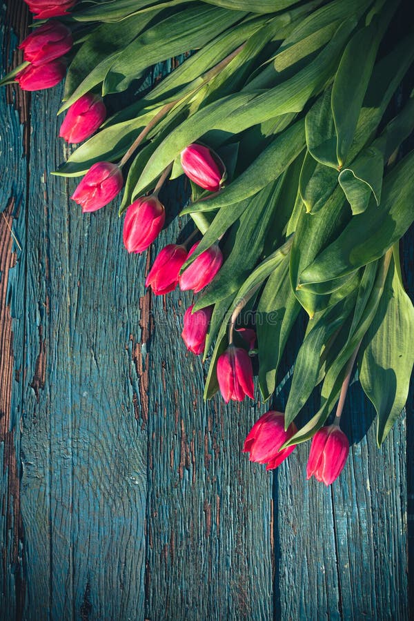 Art Abstract Background Spring Tulips Wooden Design Stock Image - Image ...