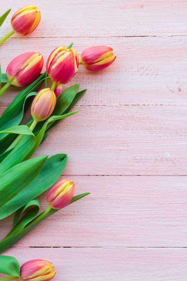 Art Abstract Background Spring Tulips Wooden Design Stock Photo - Image ...