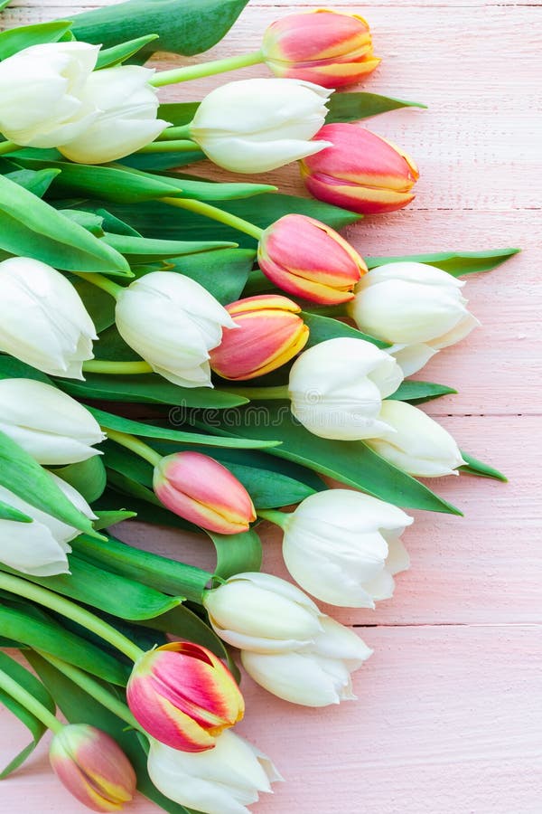 Art Abstract Background Spring Tulips Wooden Design Stock Image - Image ...