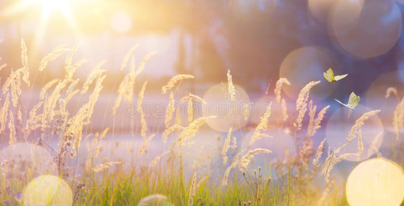 1,555,642 September Stock Photos - Free & Royalty-Free Stock Photos ...